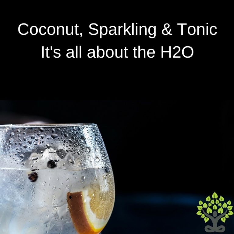 Coconut, sparkling & tonic… It’s all about the H2O! – Bodhi Me